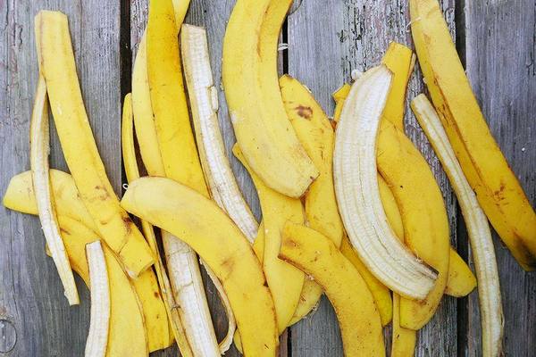 4 bonnes raisons de manger des peaux de banane et comment s’y mettre ...